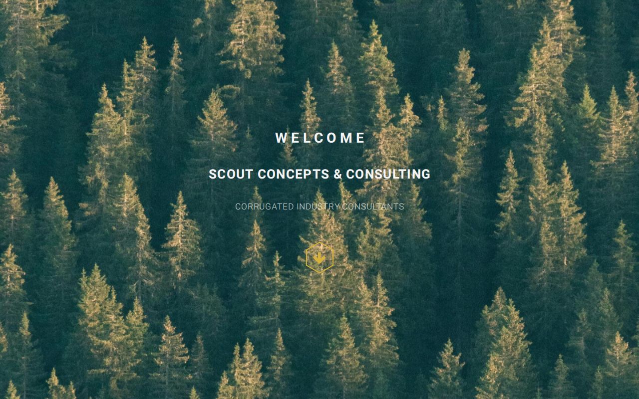 Scout Concepts & Consulting
